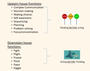 Functions of the Upstairs and Downstairs House - Billy Cart Behaviour